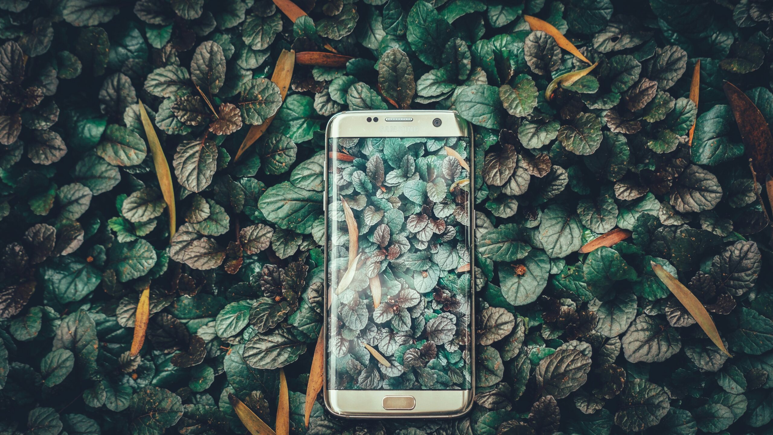 Building an Outdoor Tech Nook: Blend Nature & Modern Tech